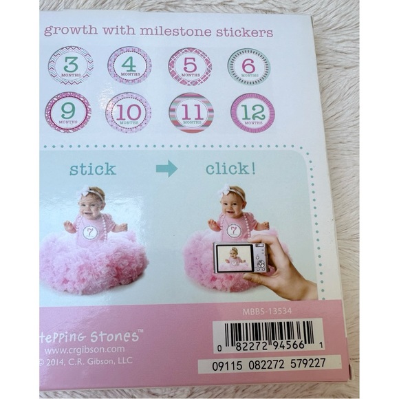 Stepping Stones | Accessories | New Stepping Stones Babys First Year ...